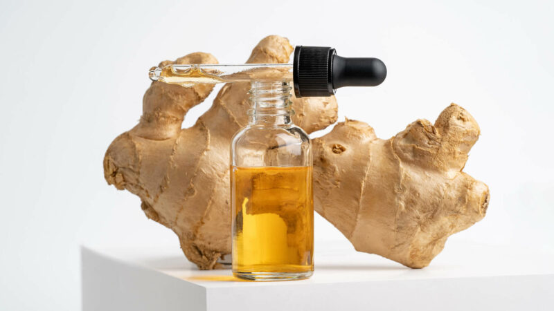 A Guide on Spice Oil Extraction: Check Out
