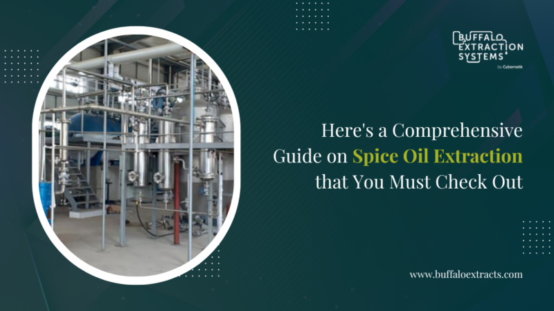A Guide on Spice Oil Extraction: Check Out