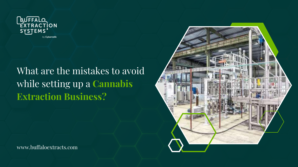 Mistakes to avoid while setting up a Cannabis Extraction Business