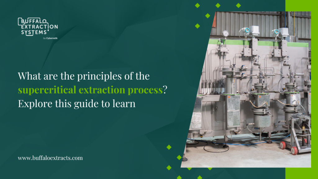 Principles of the supercritical extraction process