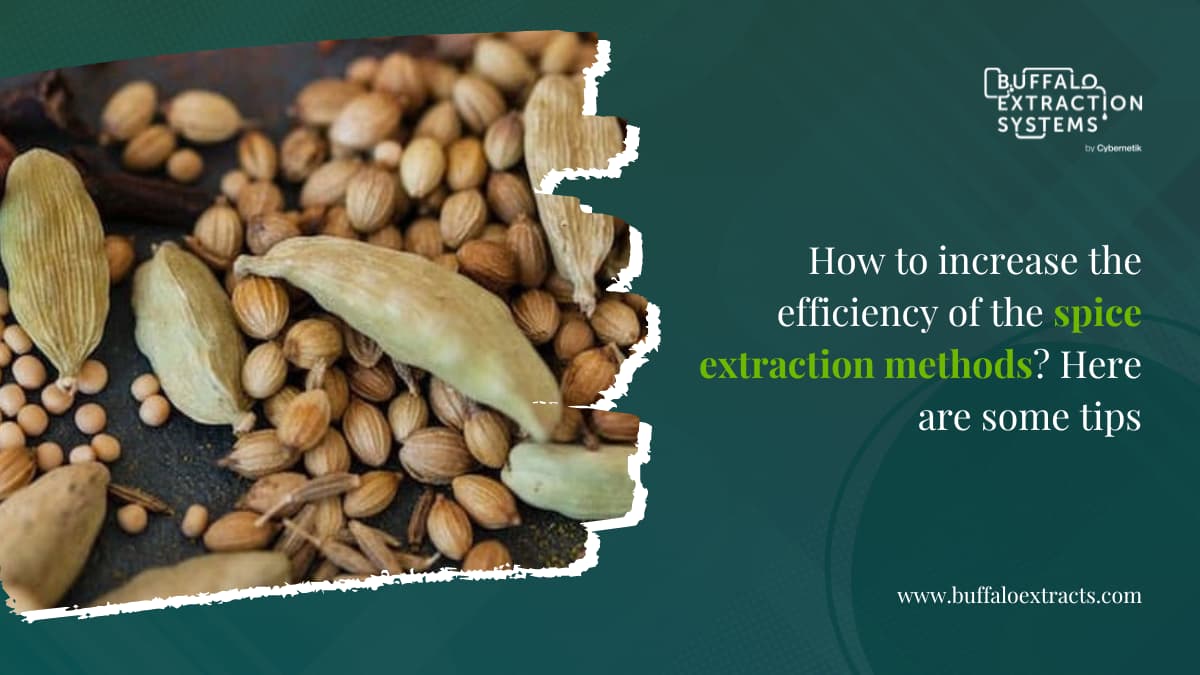 Spice Extraction Methods Advanced Techniques For Pure Extracts