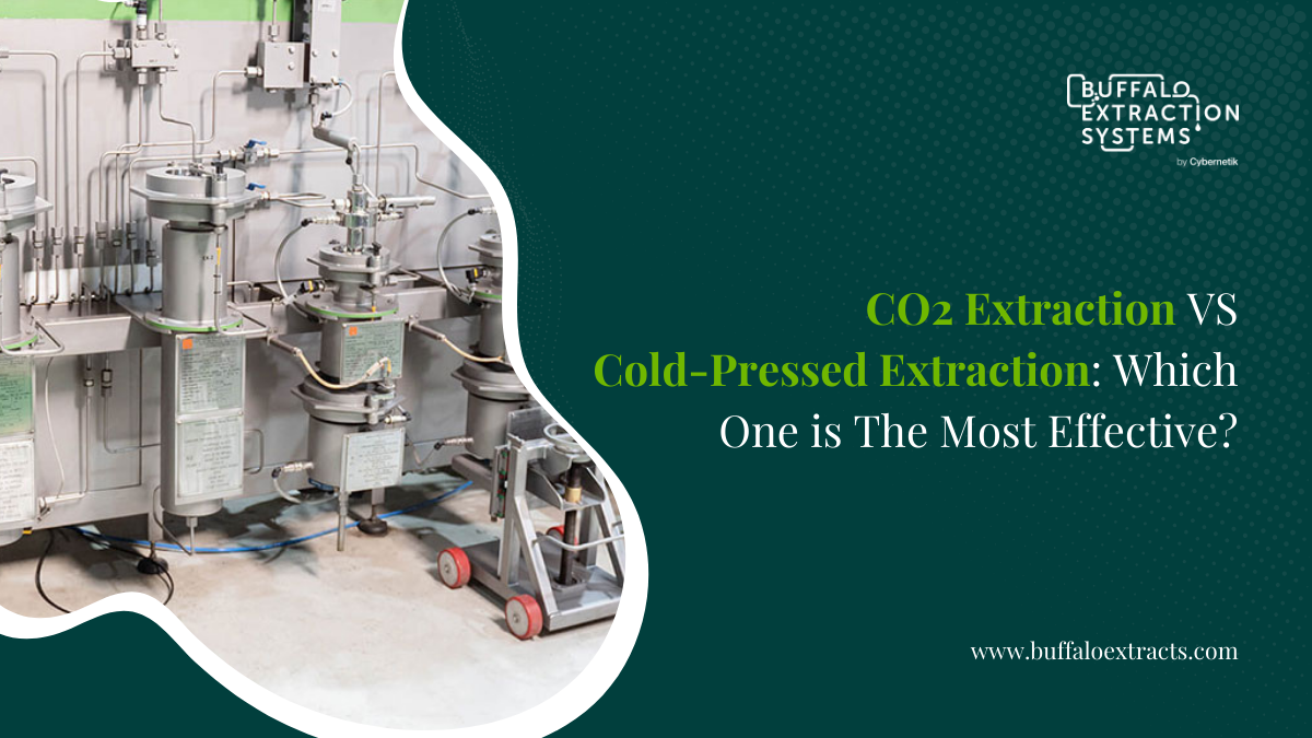 CO2 Extraction VS Cold-Pressed Extraction