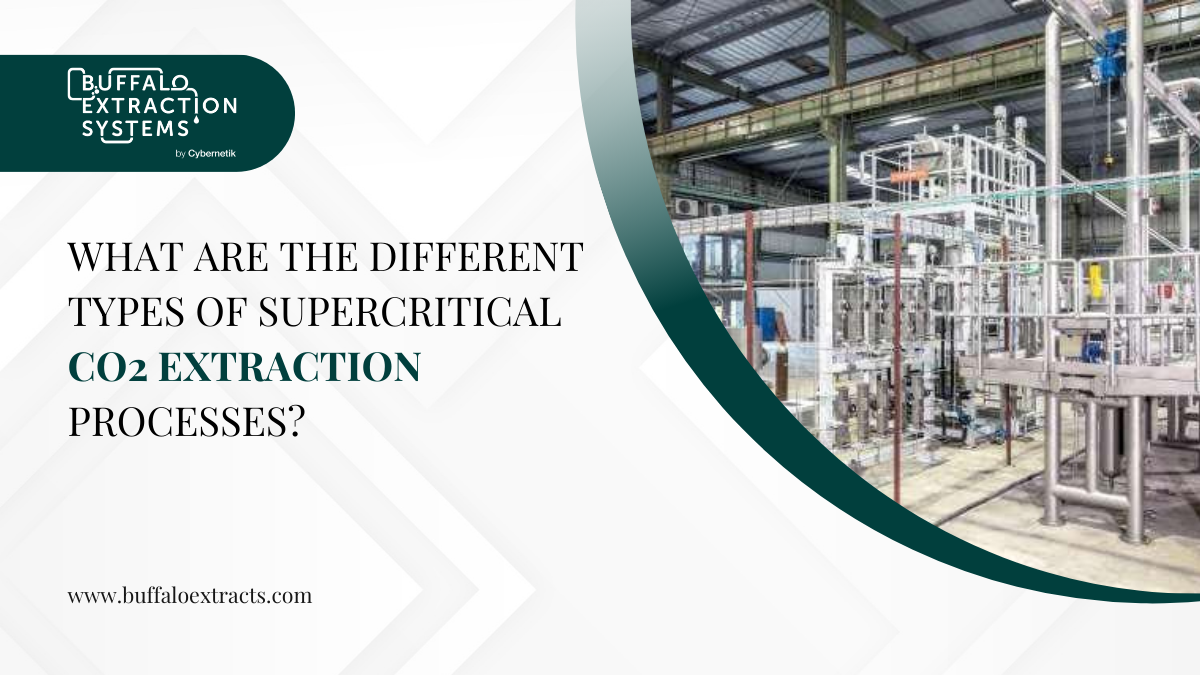 Types of Supercritical CO2 Extraction Processes