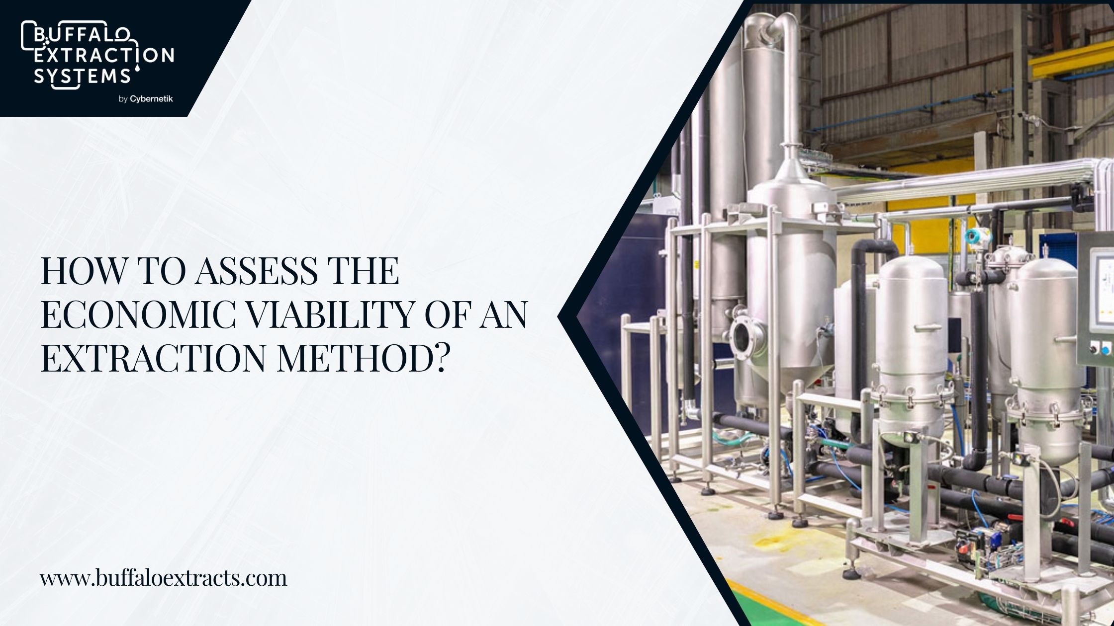 Economic Viability of an Extraction Method