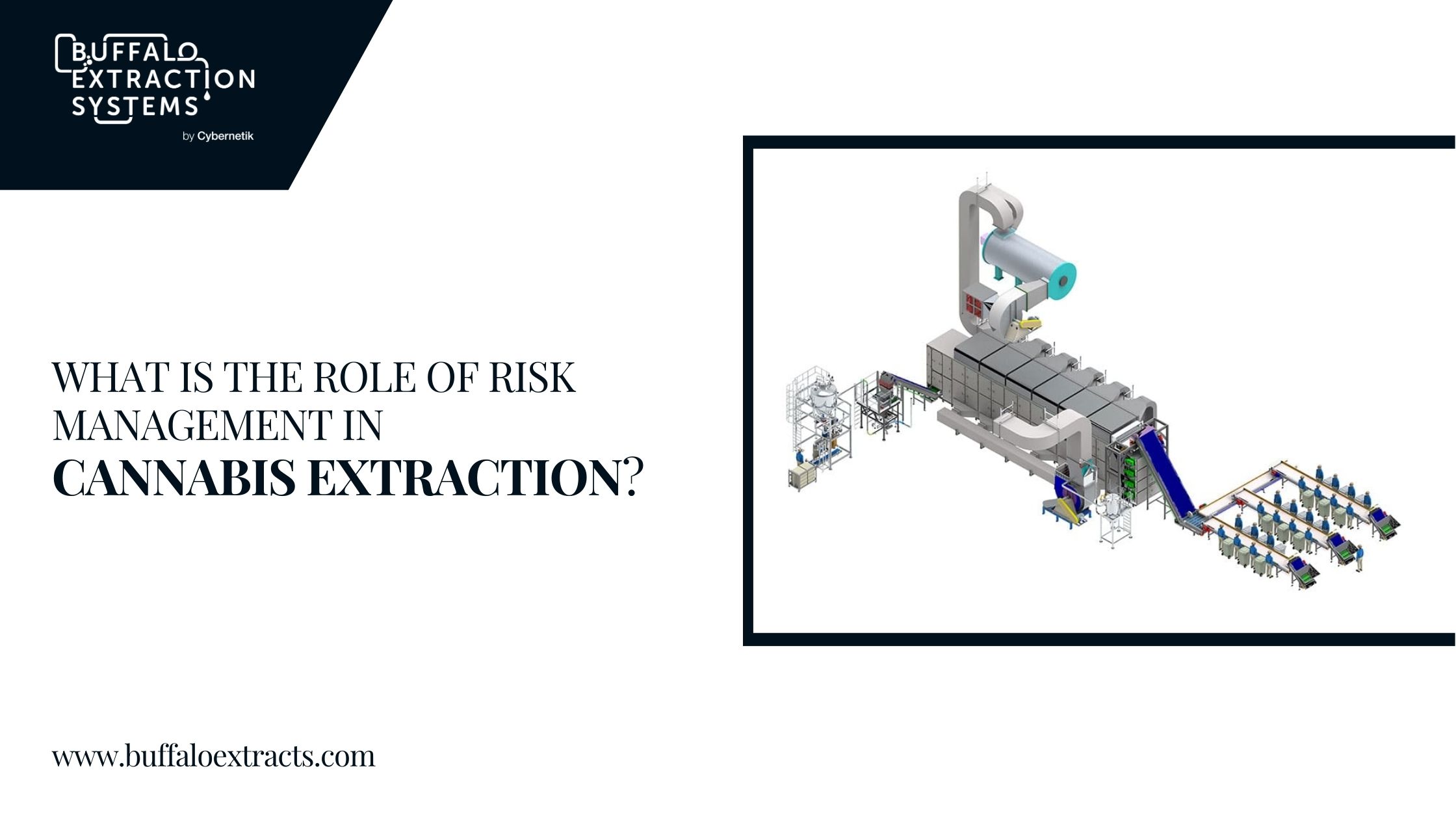 Role of Risk Management in Cannabis Extraction